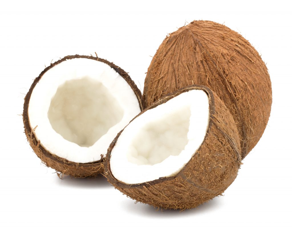 coconuts_white - Brighter Bites