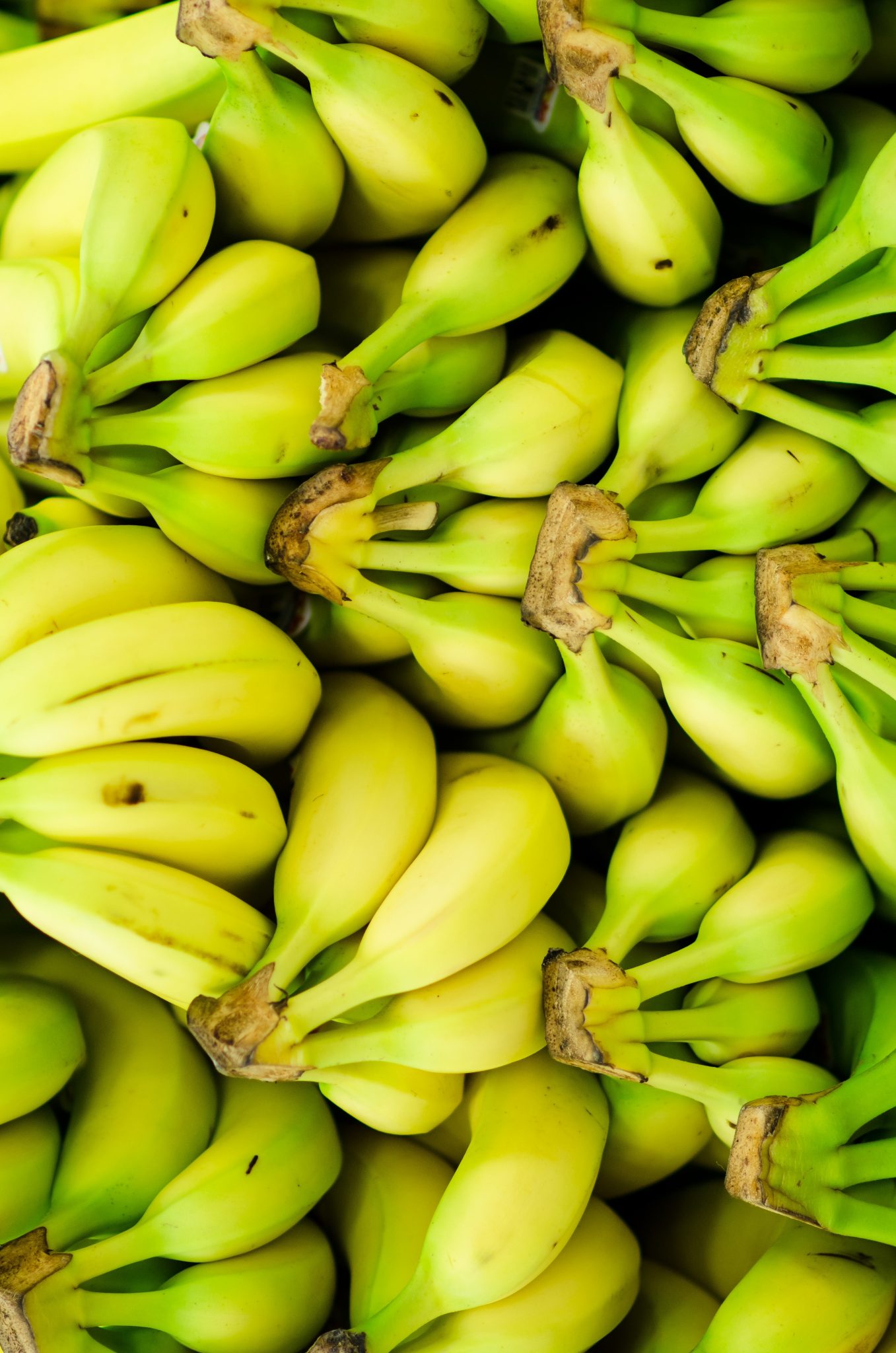 bananas_bulk - Brighter Bites
